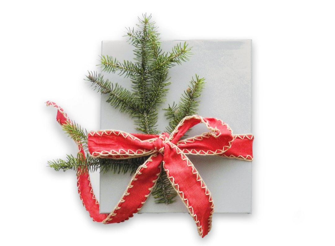 Engineering Holiday Gift Guide - Engineering Science